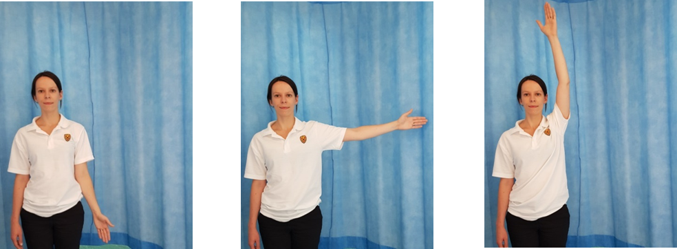 S3 Shoulder Fracture Dislocation Bedfordshire Hospitals Nhs Trust